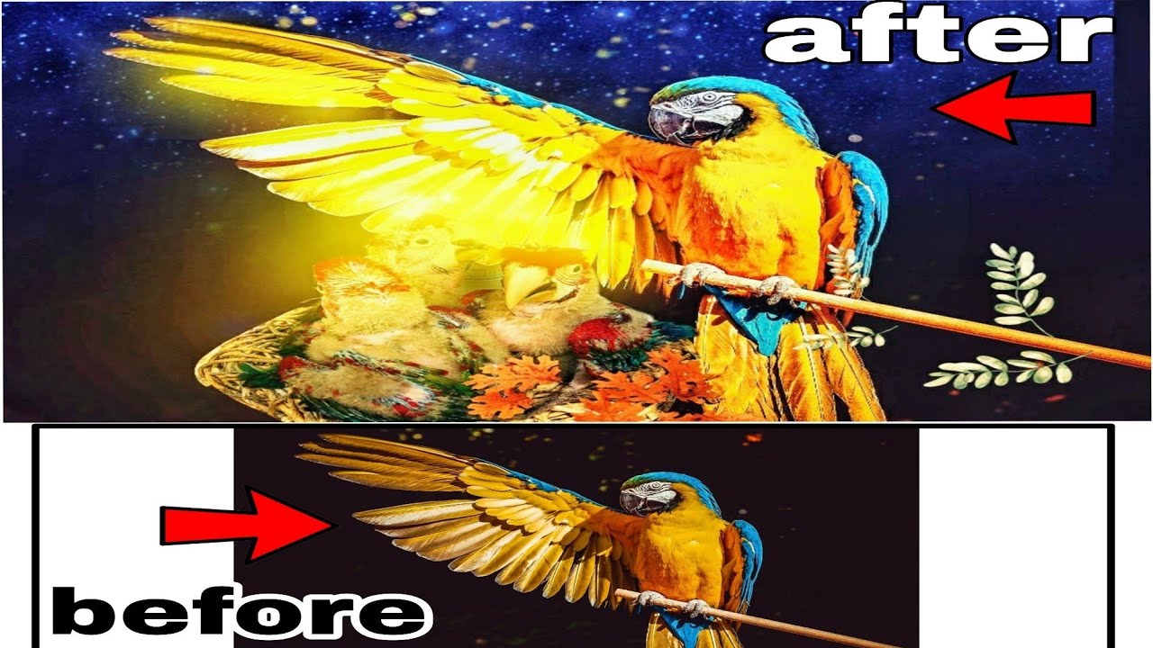 parrot picsart glow effect editing tutorialpicsart manipulation and ...