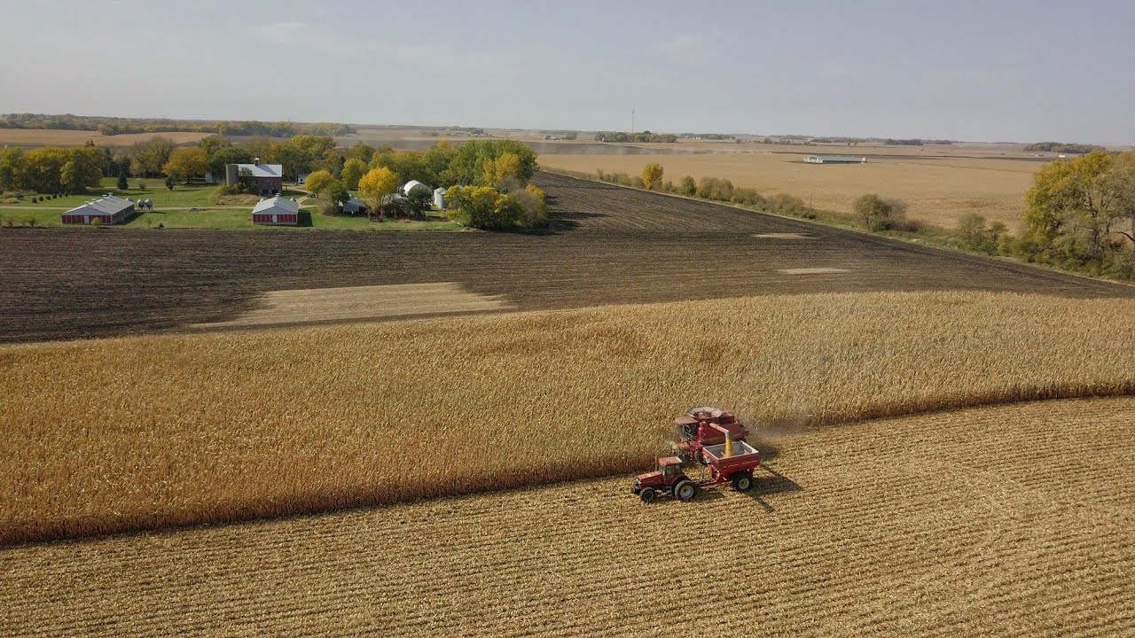 Olson Farms 2020 Fall Fieldwork - YouTube