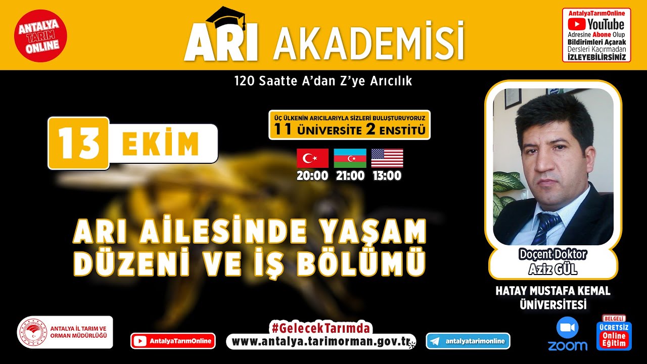 ARI AKADEMİSİ-2 ARI AİLESİNDE YAŞAM DÜZENİ VE İŞ BÖLÜMÜ DOÇ. DR. AZİZ ...