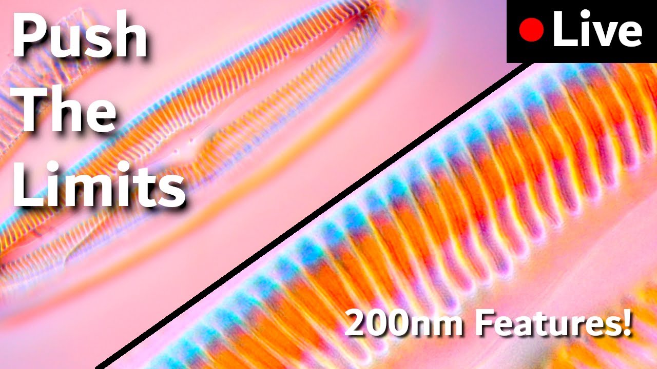 [VOD] MicroCinema 4K: Introducing Diet Tom's HyperLight Microscopy Technique! - YouTube