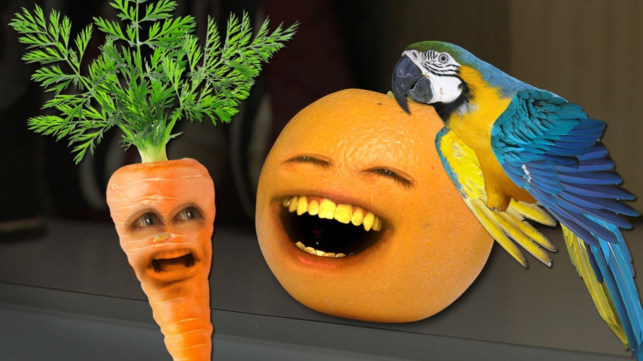Annoying Orange - Garret the Parrot (Ft. Sean Klitzner & Bobjenz) - YouTube