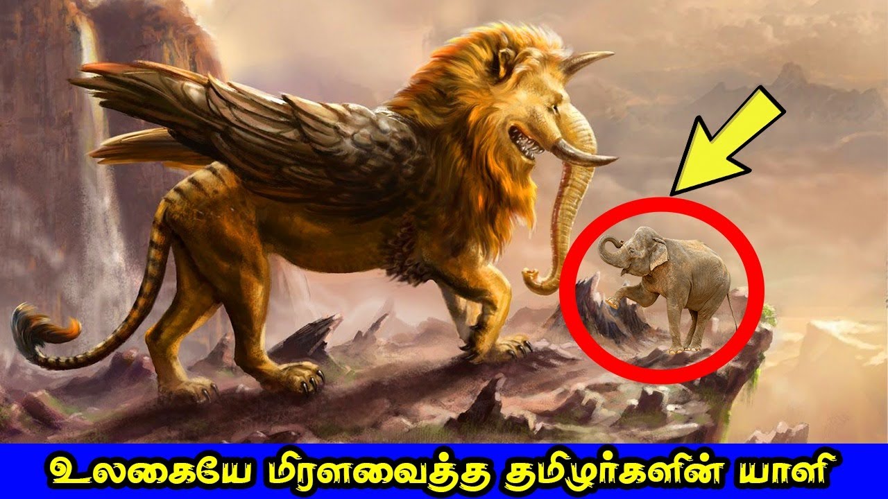 உலகையே மிரளவைத்த தமிழ் விலங்கு யாளி உண்மையா? Yali Animal | Tamil ...
