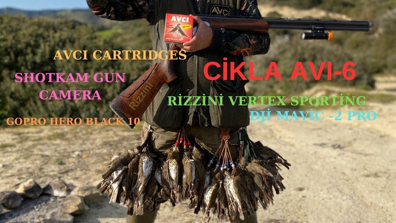 Turdus (Thrush-Zorzales-) Hunting in Cyprus - Kıbrıs ta Cikla Avı (2023 ...