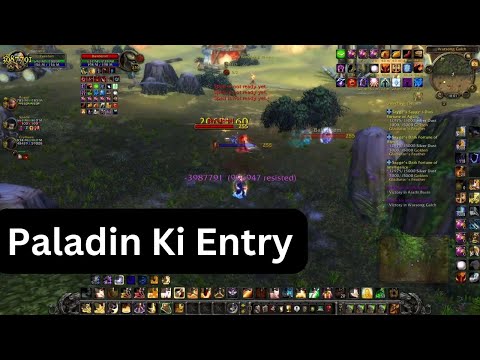 Paladin Ki Entry in Battleground of Warsong - World of Warcraft - YouTube