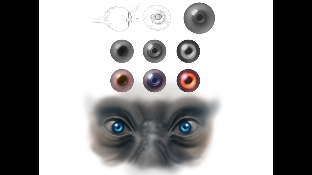 Creature Design Tutorial - Eyeball - YouTube