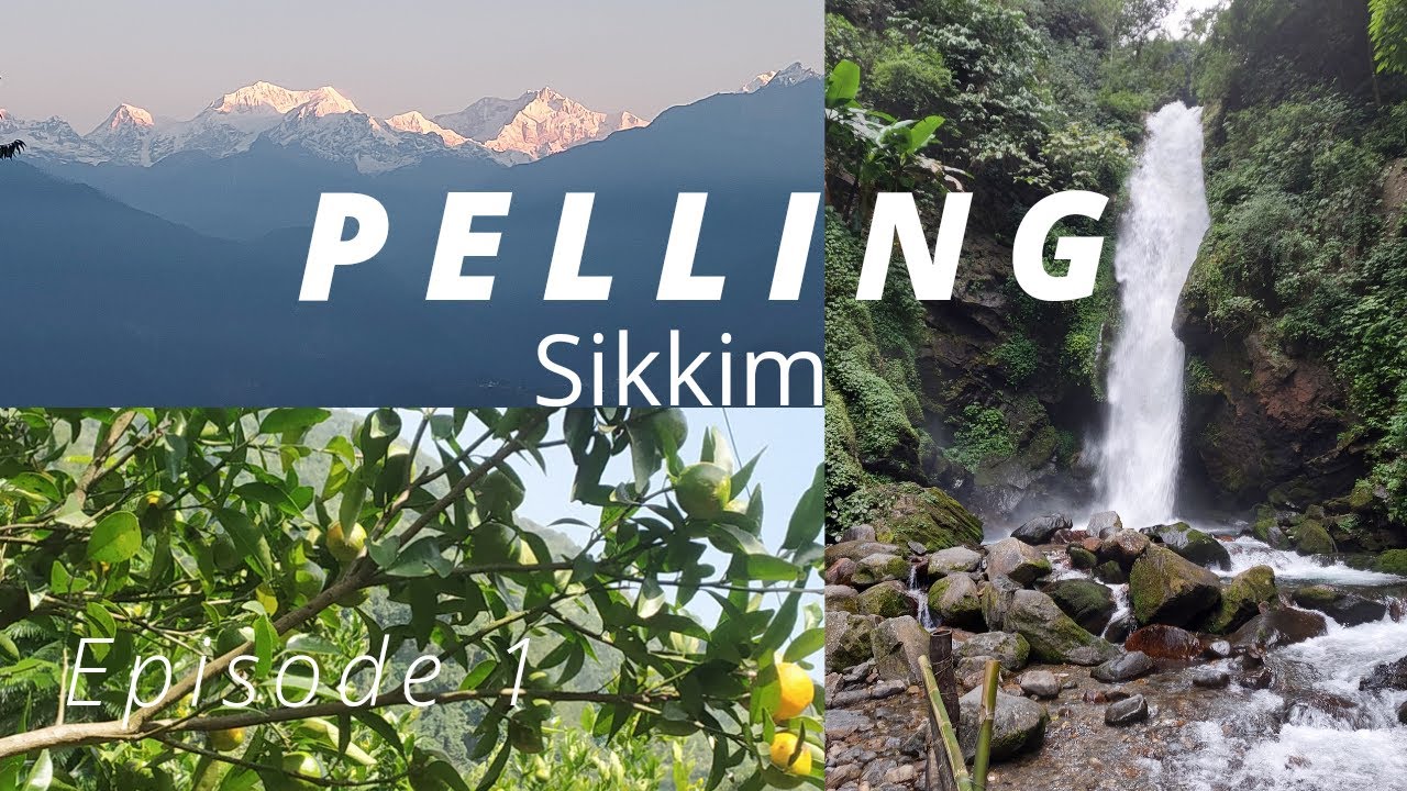 Pelling, Sikkim, Rimbi Waterfall, Rimbi Orange Garden, Kanchenjunga ...