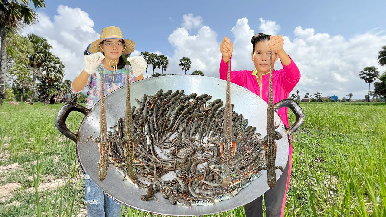 Wow Butterfly Lizards: Country Chef Cook Butterfly Lizard with Yummy ...