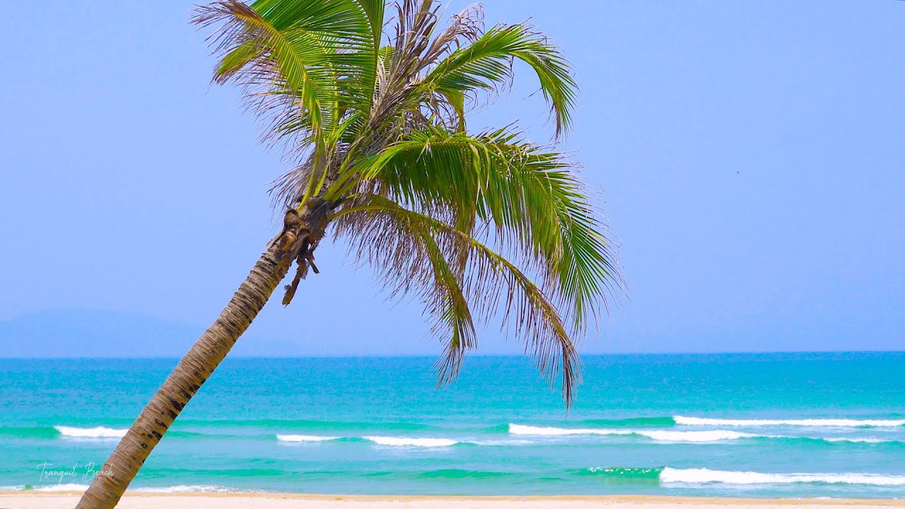 Tropical Beach Ambience, White Noise for Relaxation | Distant Ocean ...