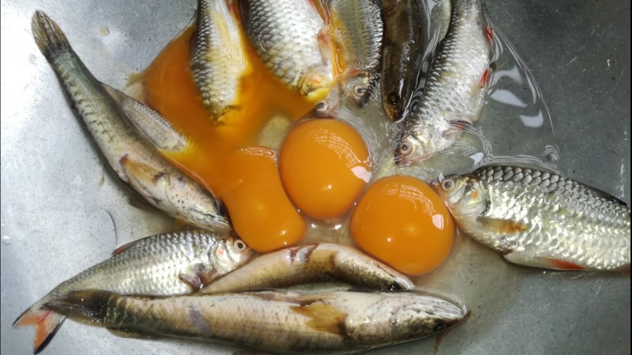 Crispy River Fish Cooking Recipe/ PH Videos Cooking - YouTube