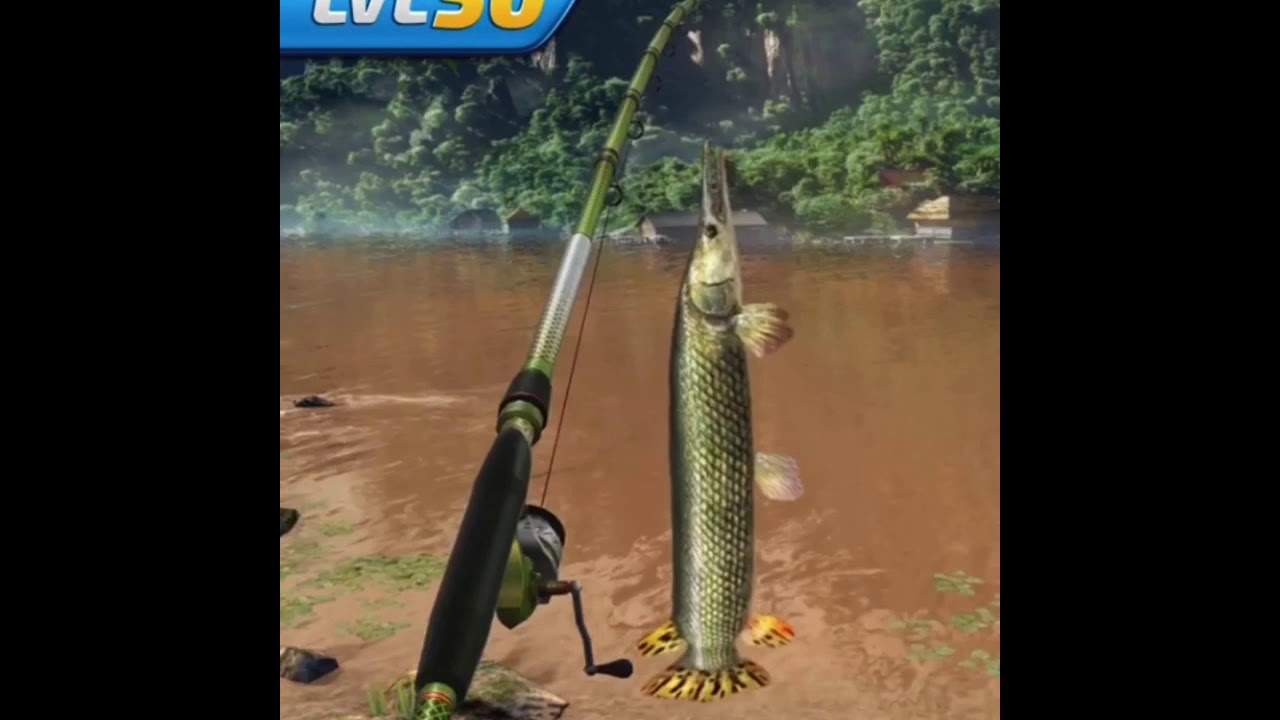 Cursed Fishing Game - YouTube