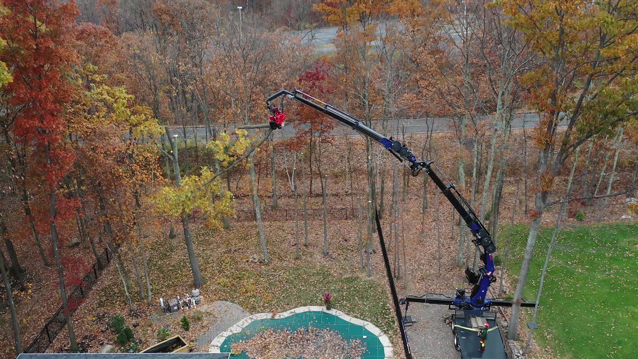 Tree removal with Pm crane and Mecinal grapple saw ! - YouTube