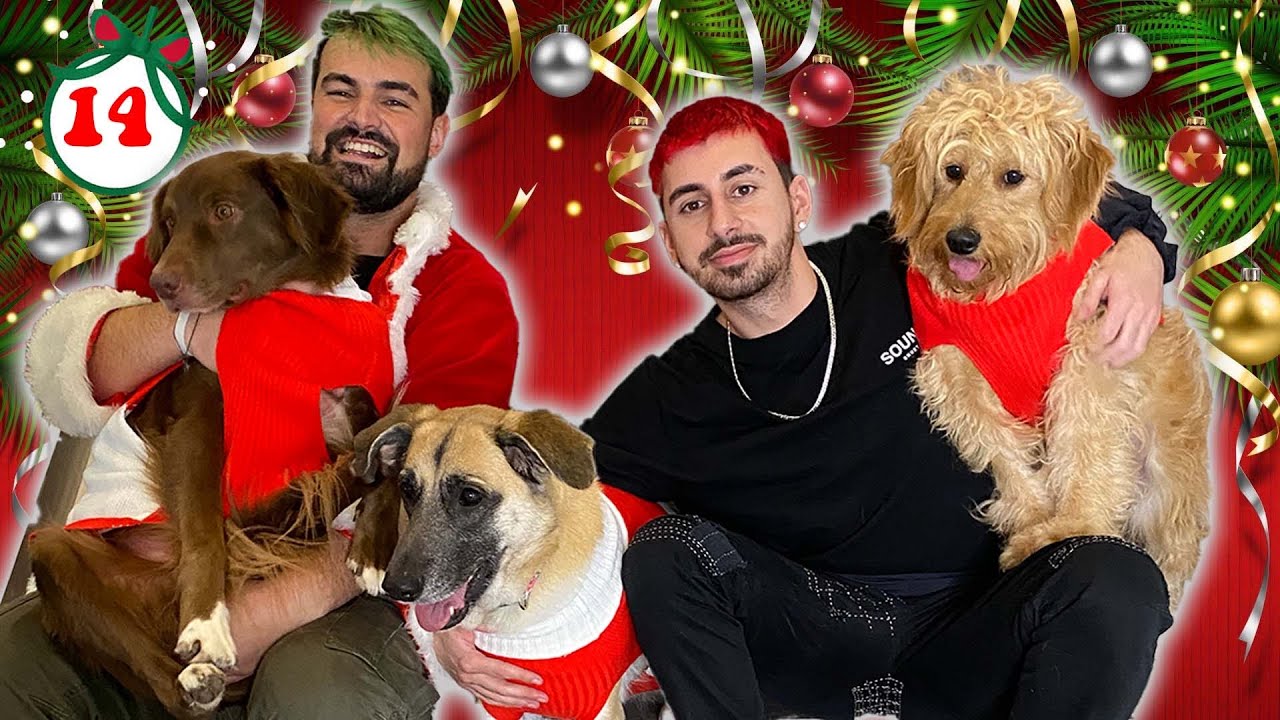 WE DRESSED UP THE C4 HOUSE PETS! - YouTube