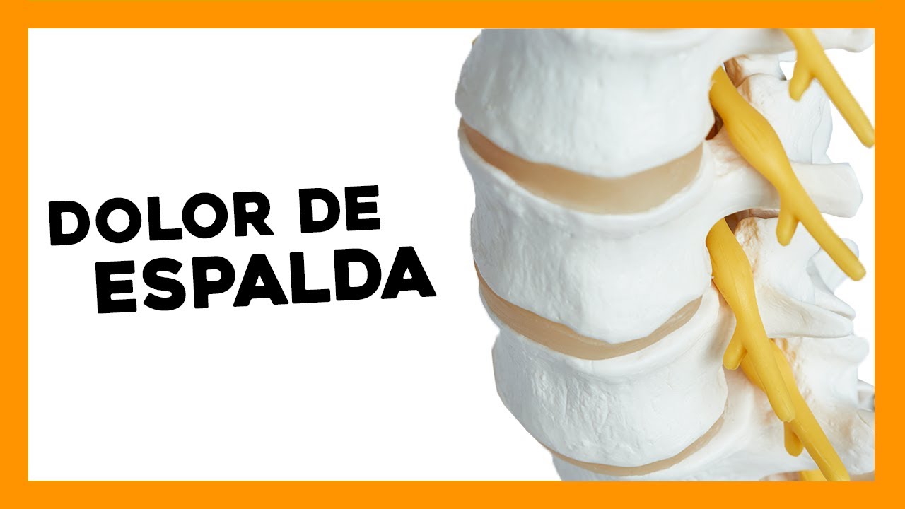 Rectificación lumbar en Yoga - YouTube