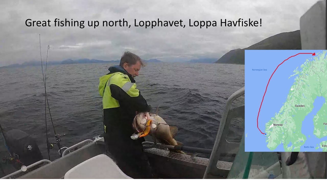 Fjordfiskegutta ep23 One week at Loppa havfiske Part 1, first three ...