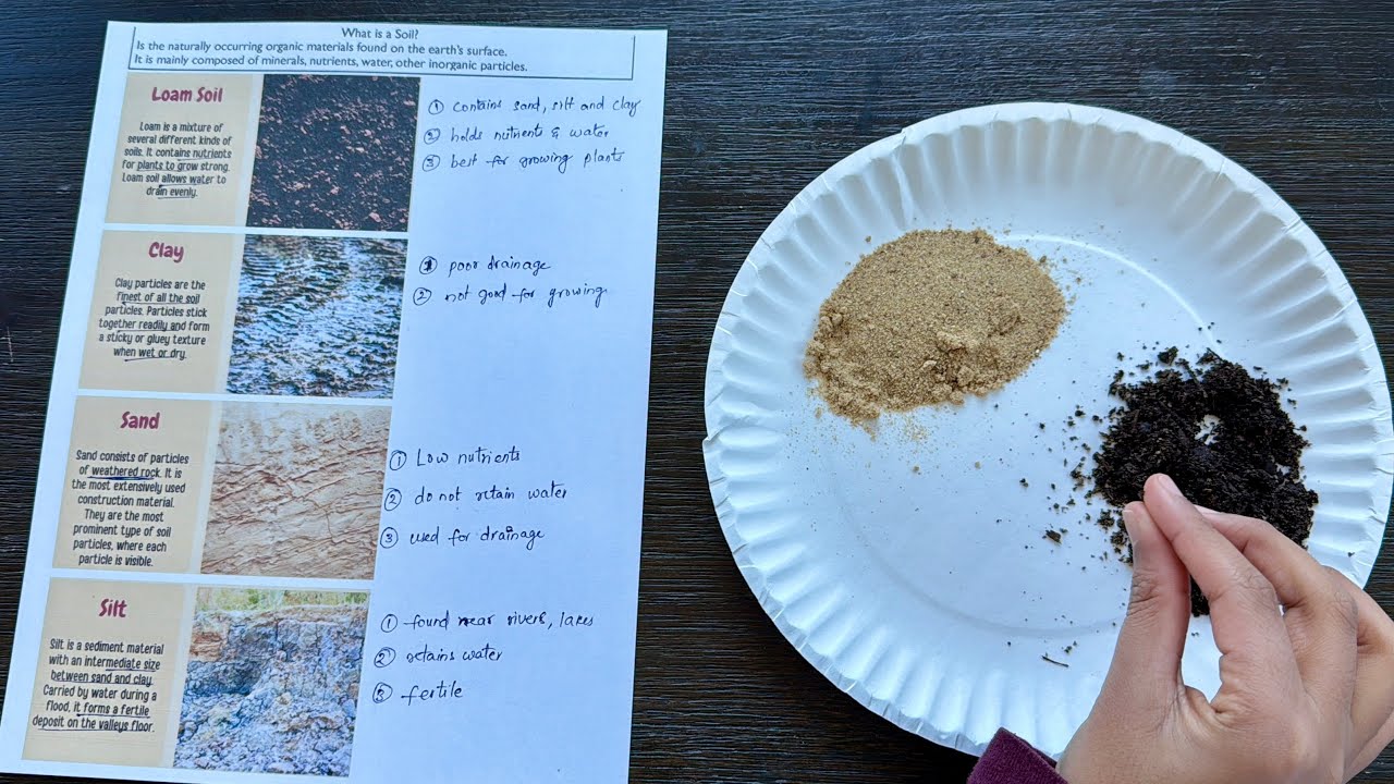 Types of Soil: Loam, Clay, Sand and Silt - YouTube