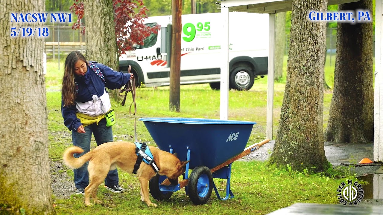Exterior Search NW1 Trial: Heesun and Lakota Andes, May, 2018 - YouTube