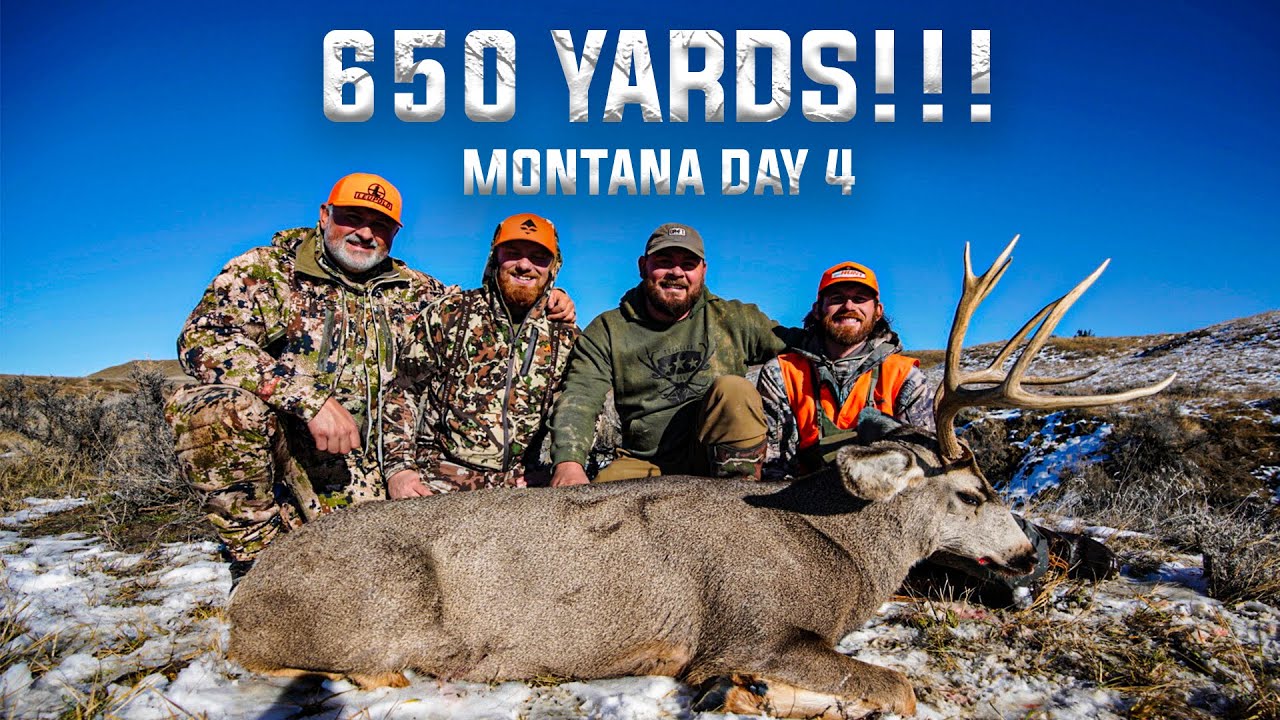 650 Yards MULE DEER Buck Goes Down (Montana General Rifle Tag) - YouTube