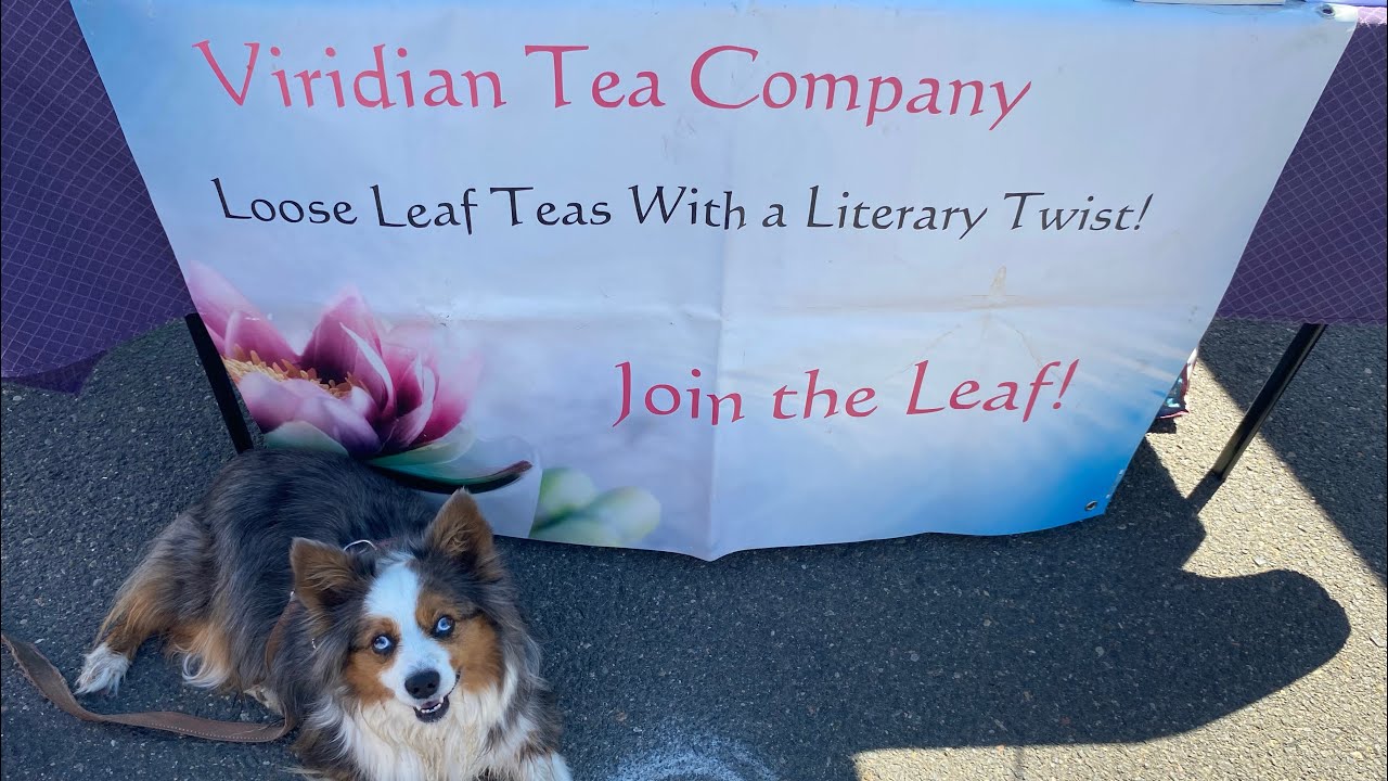 Viridian Tea House - Ashton Nyte and Rivera Sun - YouTube