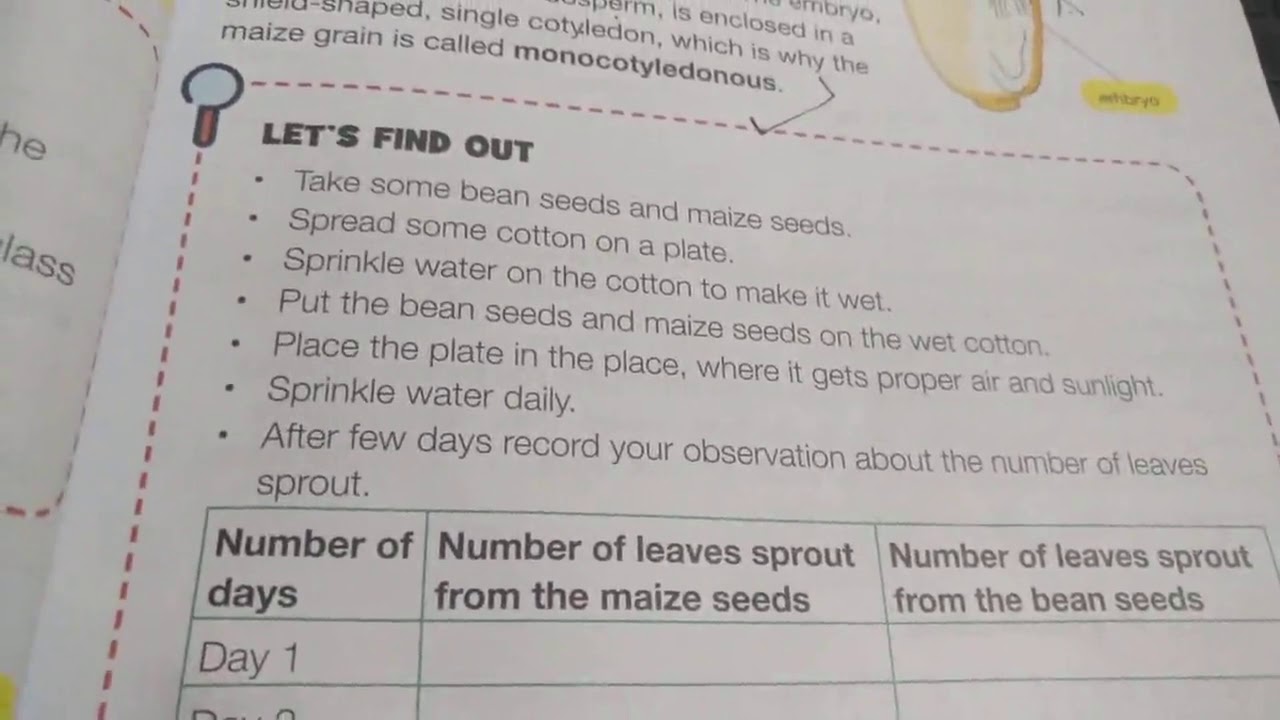 Class Five Science Lecture # 19 - YouTube