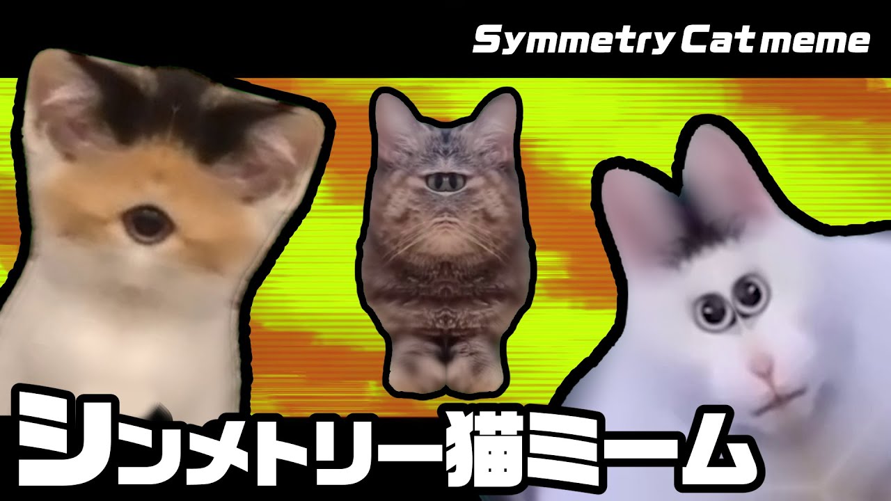 symmetry cat meme - YouTube