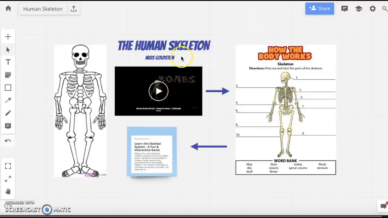 The Human Skeleton Lesson Plan - YouTube