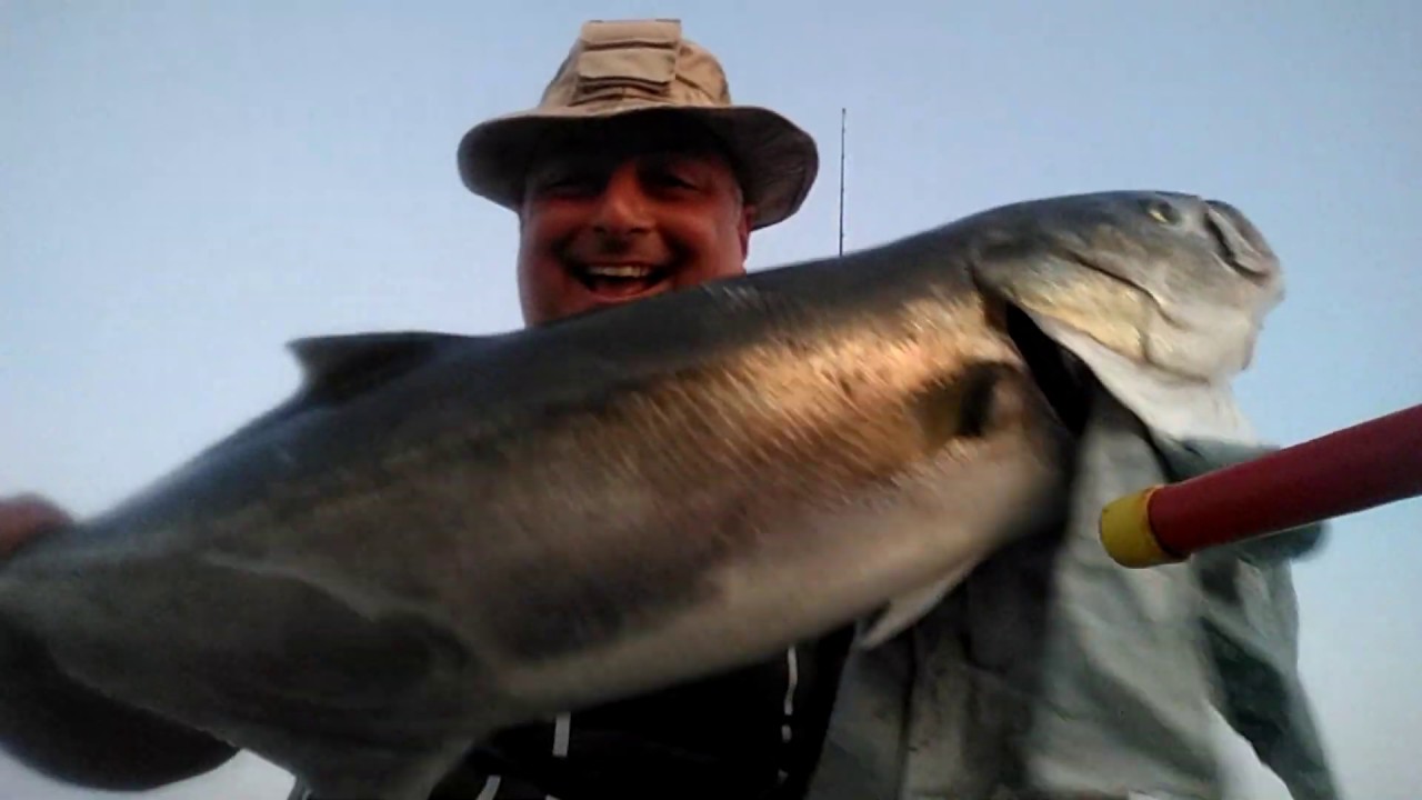 ΨΑΡΕΜΑ ΜΕ ΚΑΛΑΜΙ SLOW JIGGING - HUGE BLUEFISH ON SLOW JIGGING ROD - YouTube