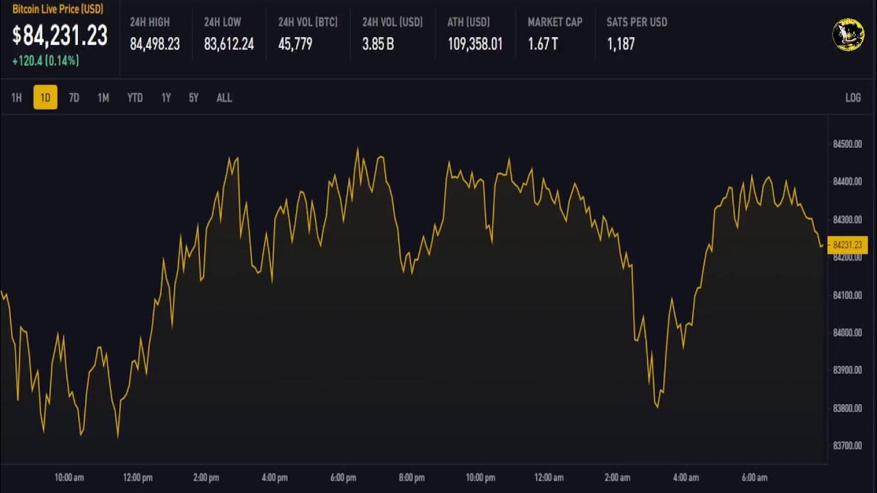 Live Bitcoin Price: Real-Time Signals & Chart - YouTube