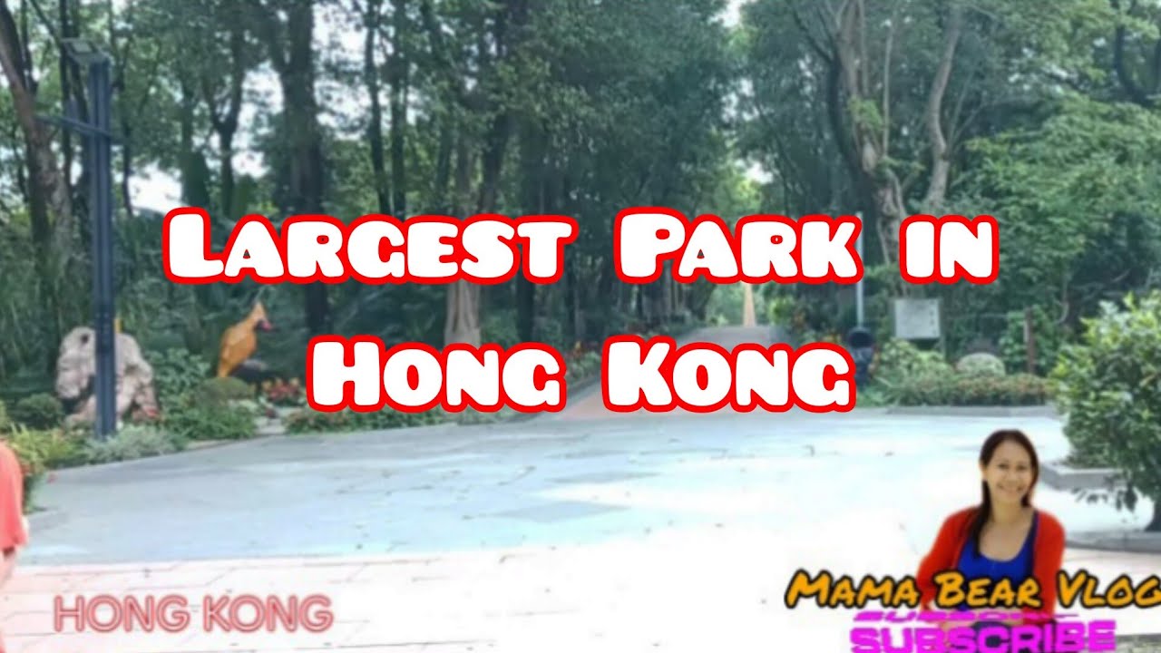 Largest Park in HongKong | Tai Po Garden #attraction #ofwlife - YouTube