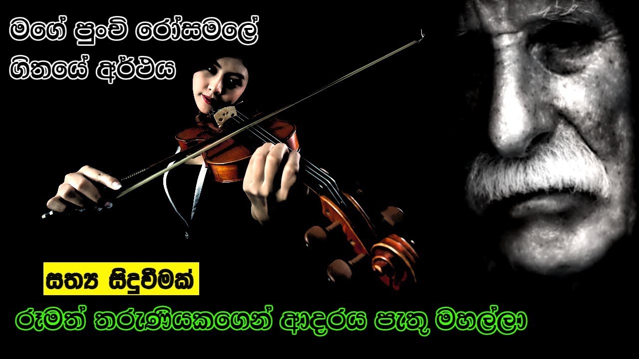 Mage Punchi Rosa Male Song Meaning - YouTube