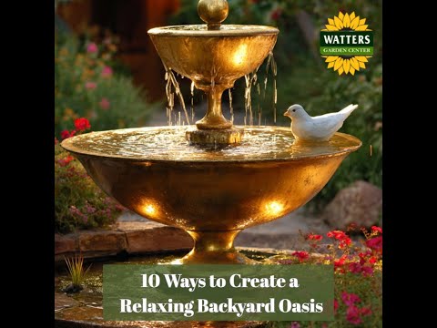 ⛲️ 10 Ways to Create a Relaxing Backyard Oasis