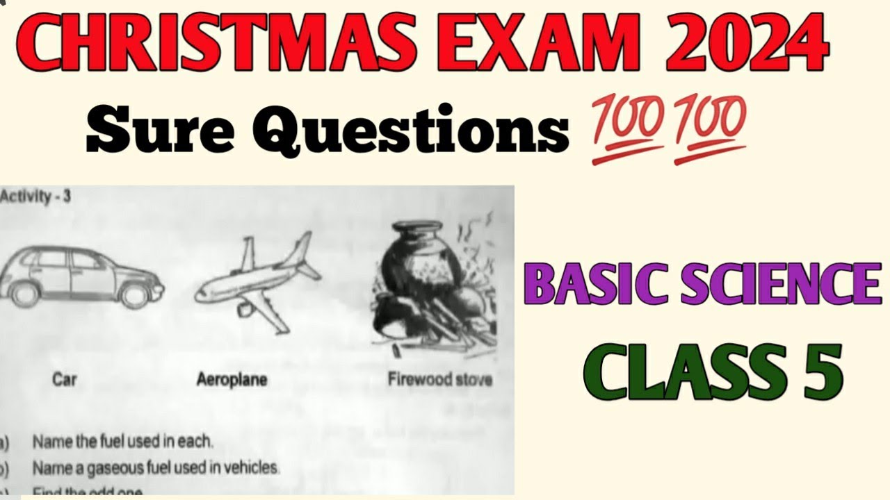 Christmas Exam 2024 Class 5 Basic science| Second term exam 2024 | Model Question and Answers ...