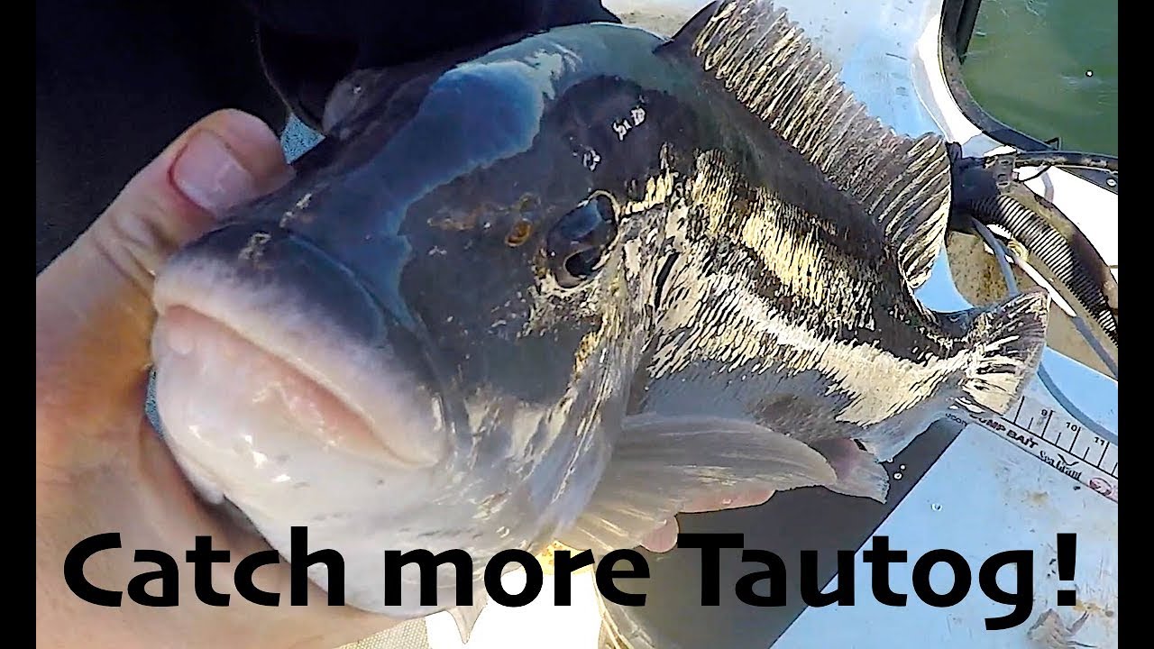 Togging 101 (Part 2) - YouTube