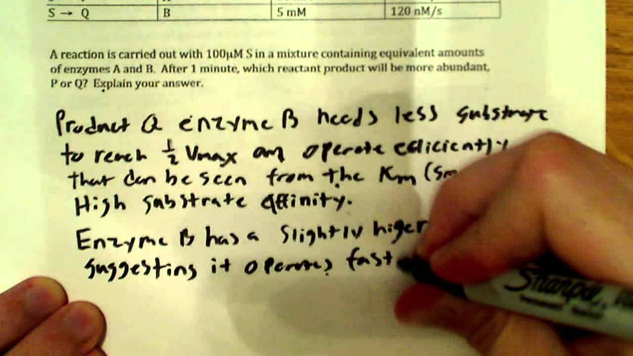 Calculating enzyme efficiency - YouTube