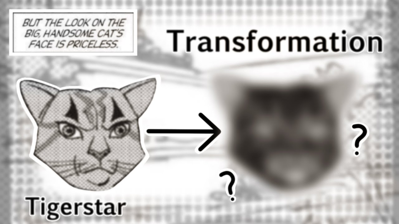 But the Look on the big, Handsome cat’s Face is priceless ...