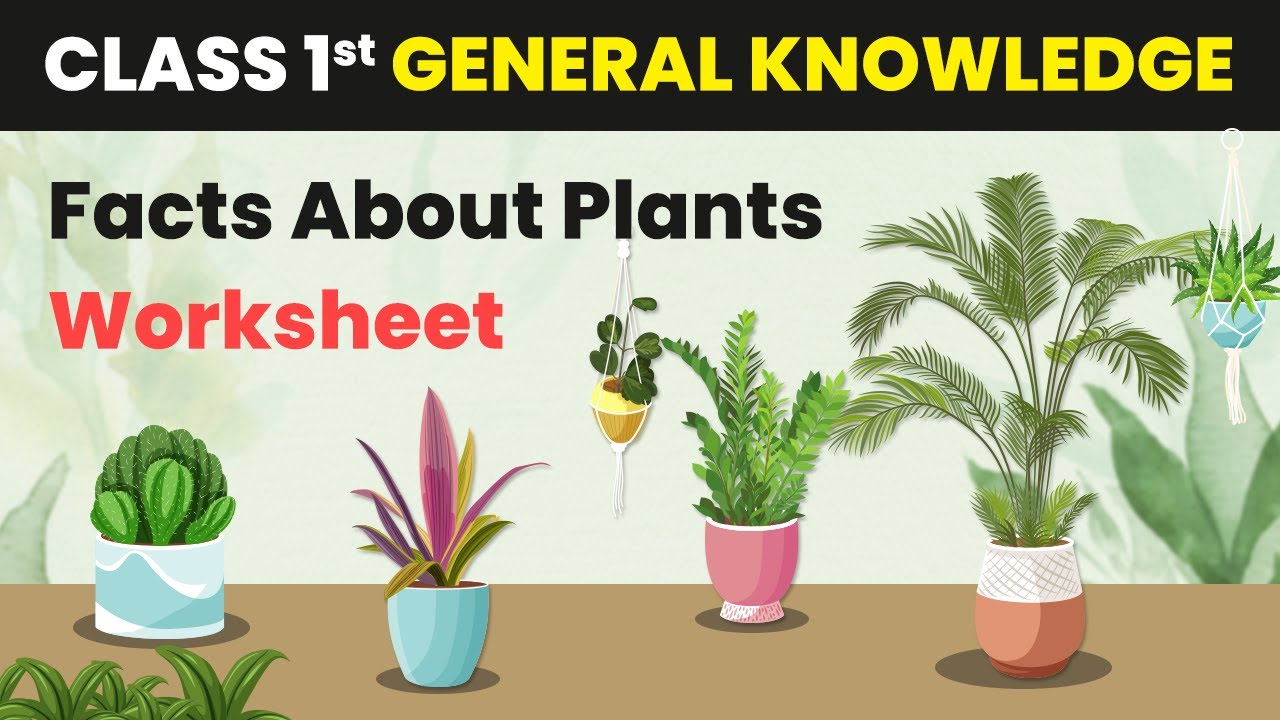 Facts About Plants - Worksheet | Class 1 General Knowledge (GK) | CBSE ...