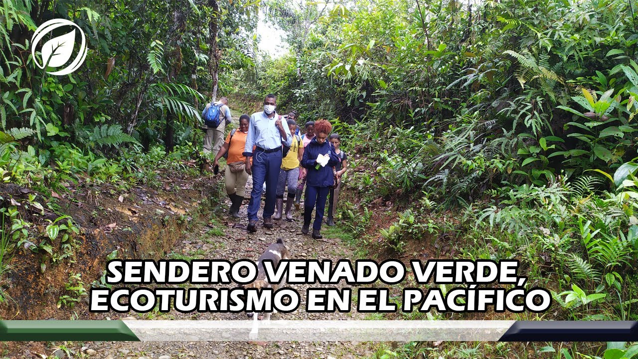 Venado Verde, un sendero para ecoturismo en el Pacífico - YouTube