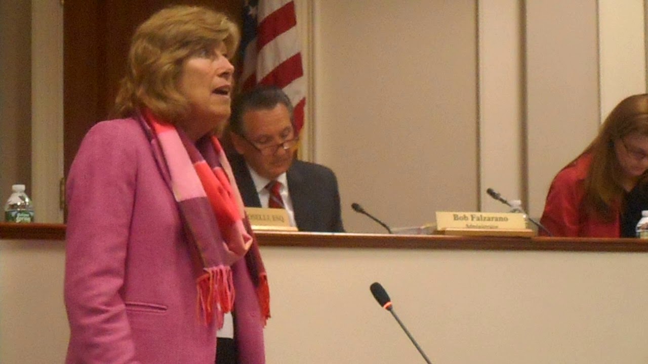 Planner Susan Gruel discusses Hurstmond redevelopment plans in Harding ...