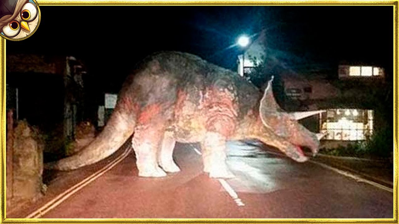Dinosaurs Caught On Camera & Spotted In Real Life! - YouTube