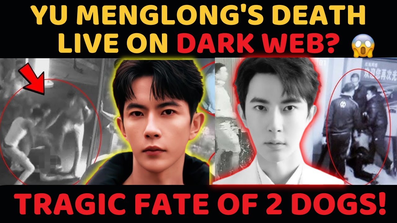 Yu Menglong's Death Live on Dark Web Stream? Tragic Fate of 2 Dogs ...