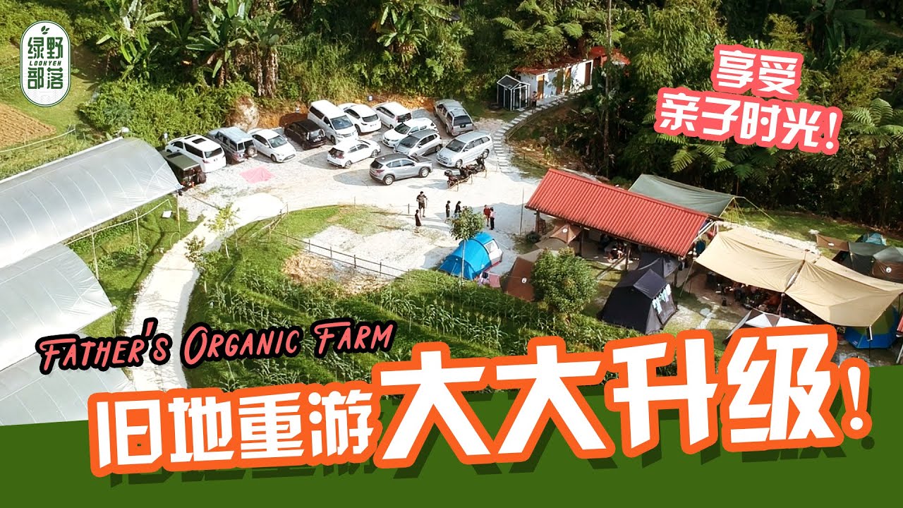 我们又回来啦~~ 现在可以直接开车到瀑布咯！！！Father organic farm - YouTube