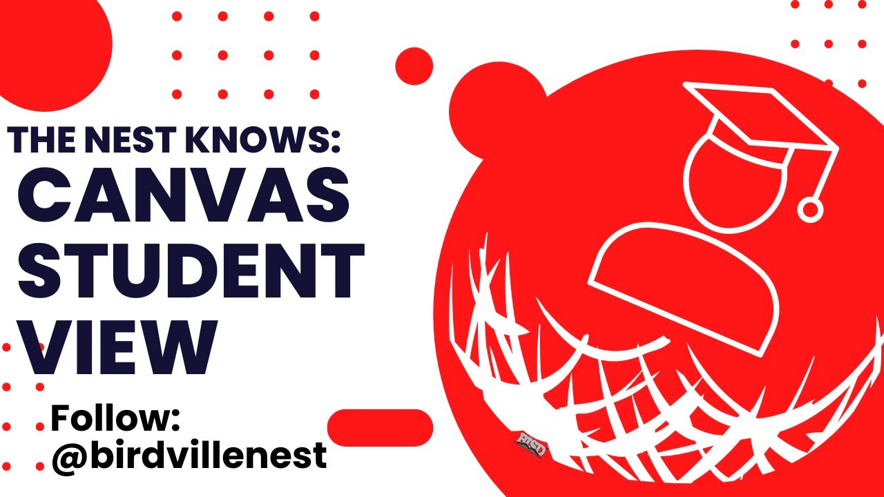 Using Canvas Student View - YouTube