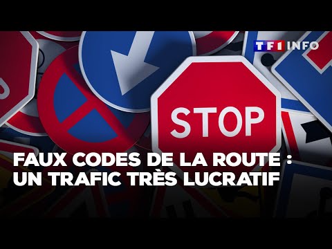 Faux codes de la route : un trafic très lucratif｜TF1 INFO