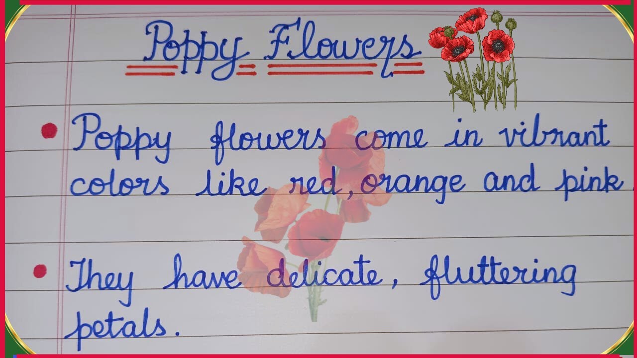 5 Lines Essay on Poppy Flowers | Few Lines essay on Poppy Flowers in ...