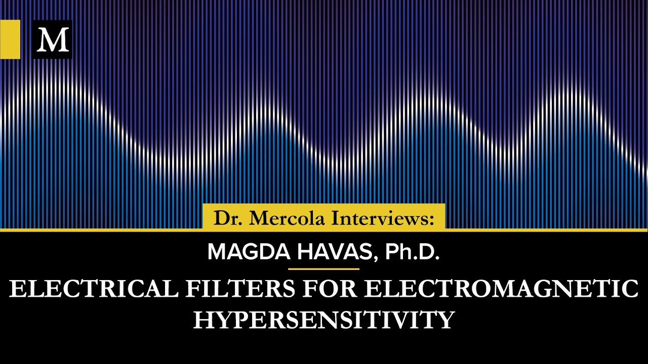 Electrical Filters for Electromagnetic Hypersensitivity – Interview ...