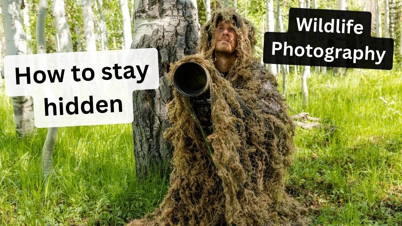 How to stay HIDDEN while photographing wildlife. This is the gear that ...