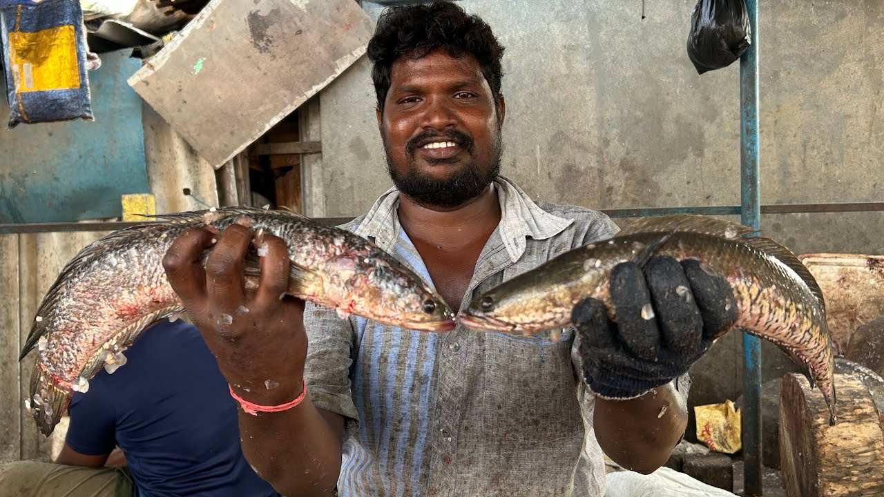 VIRAL FISH 🐟 KASIMEDU FISH MARKET FISH CUTTING SKILLS #kasimedu - YouTube