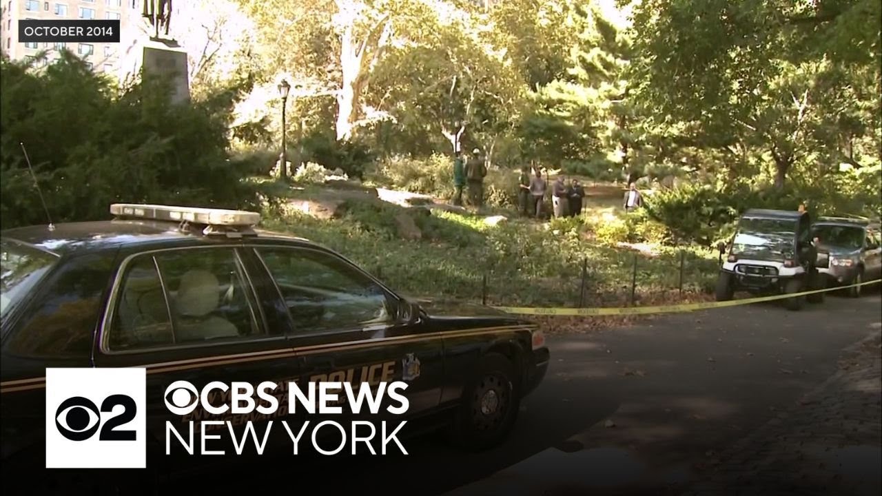 Robert Kennedy Jr. claims responsibility for dead bear found in Central ...