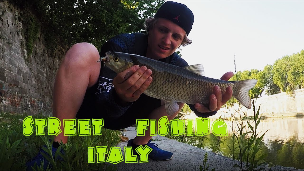 STREET FISHING ITALY(Rome)- SPINNING AL CAVEDANO FIUME TEVERE C&R - YouTube