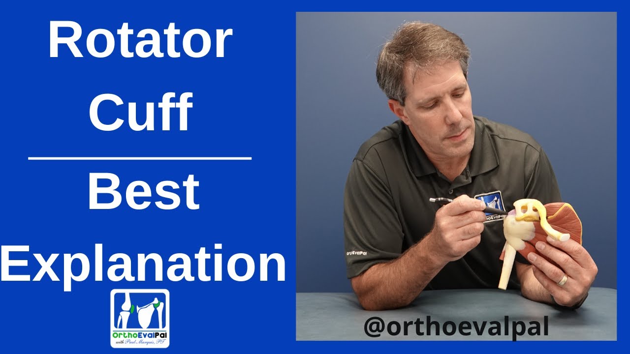 Rotator Cuff - Best Explanation - YouTube