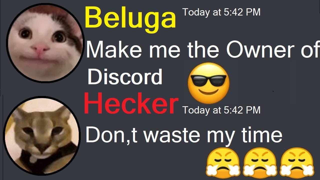 When beluga owned Discord... - YouTube